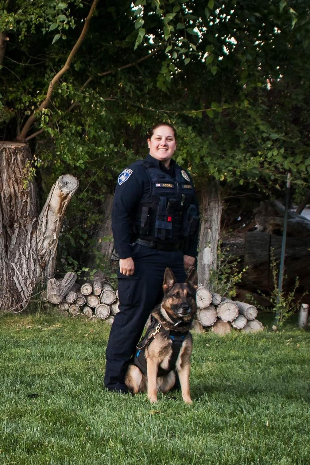 K9 Information | Mills WY